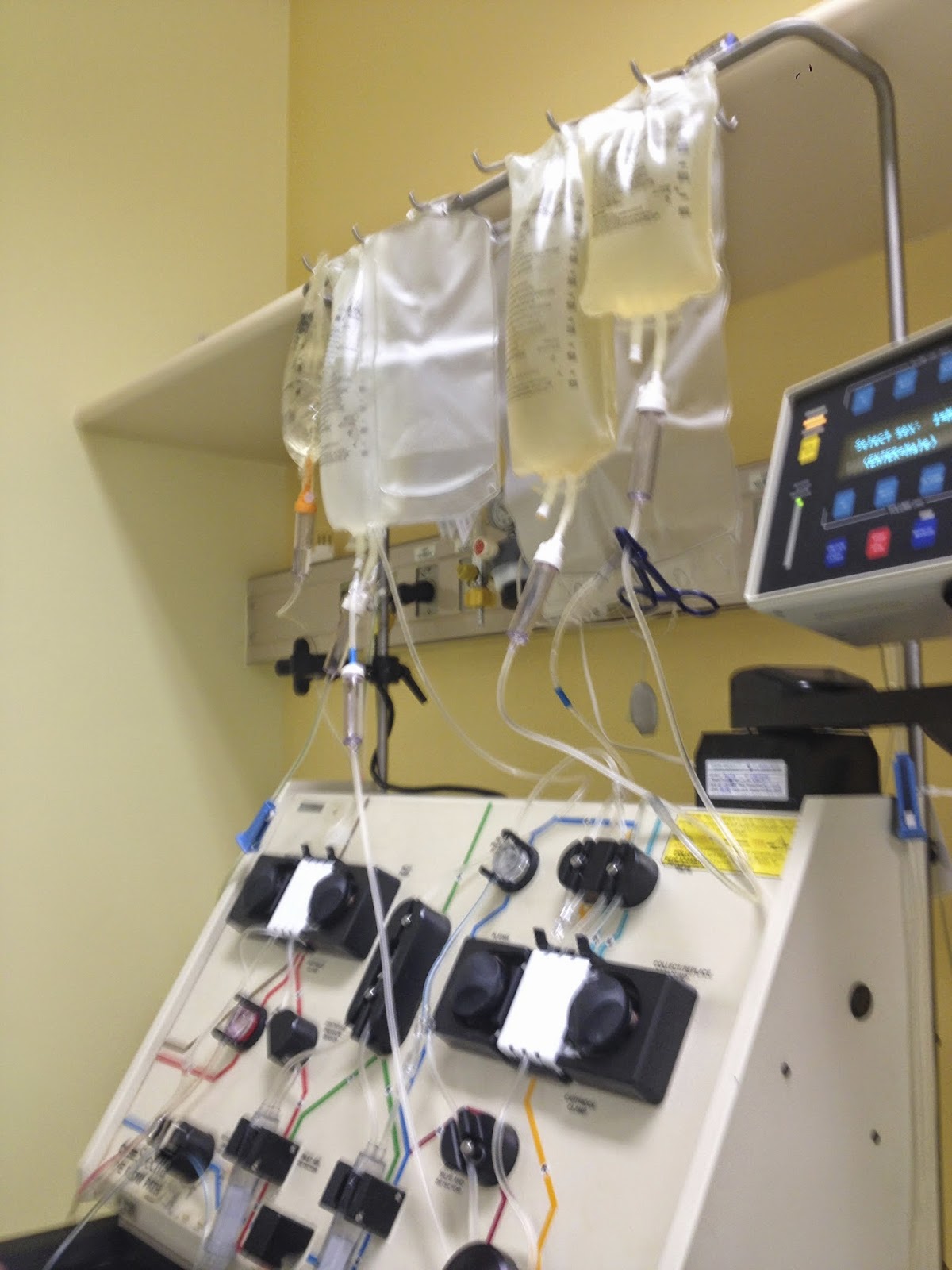 Plasmaferese O Que é - RETOEDU