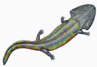 Tamsitt-Powell_Kavanaugh Families in Howard County: Fossils of Howard ...