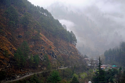 Off the Beaten Track .....and far from the madding crowd: Solitude ...