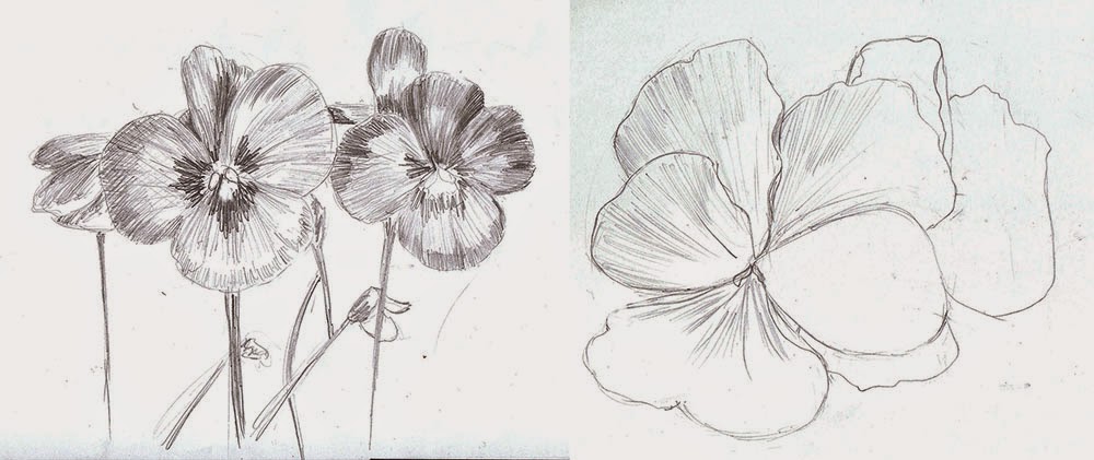Weekly : Doodles and tuts: How to draw a Pansy - method 2