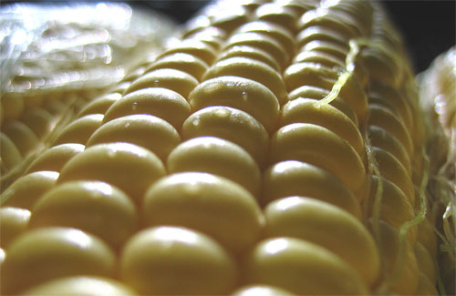 Vivir Mejor: Alimentos Transgénicos..Buenos o Malos???