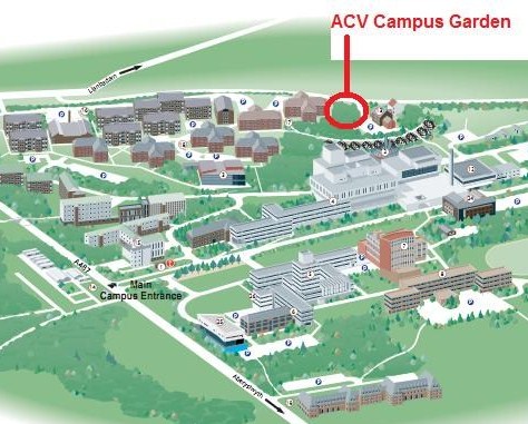 Aberystwyth Conservation Volunteers: Making our Garden Sustainable....