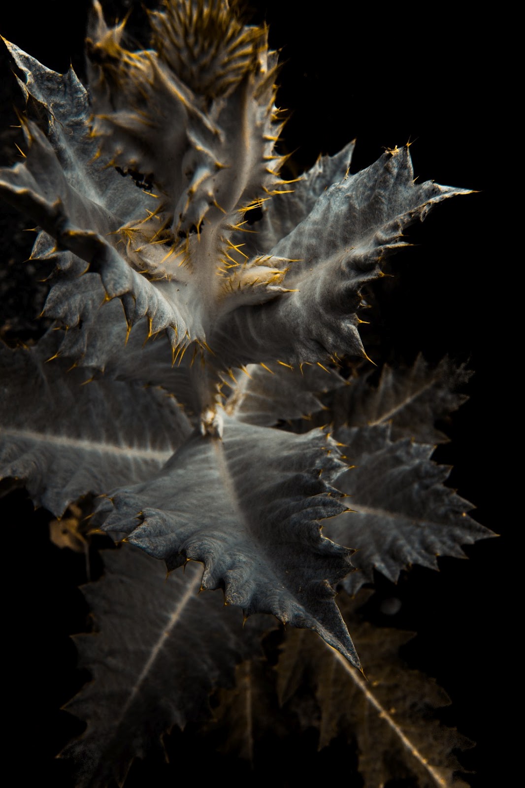 Ooooh Aaaah - When Color Works ... ~ Matthew G Beall :: Vision Driven ...