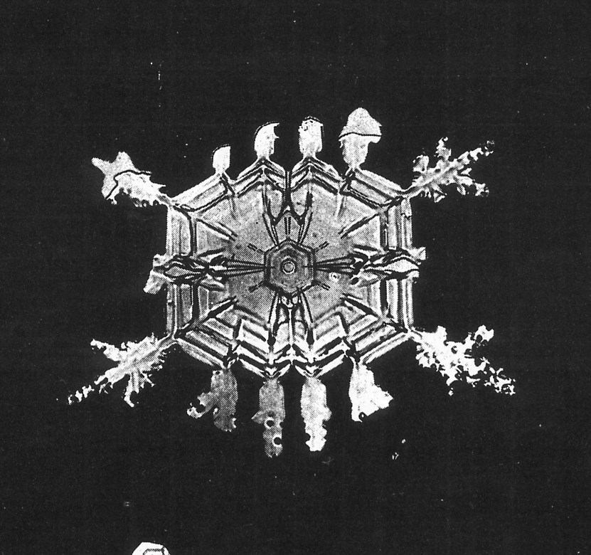 Mutated snowflakes from the Japanese nuclear react: Nuclear fallout ...