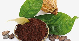 'ZIEN EN WETEN': CACAO.