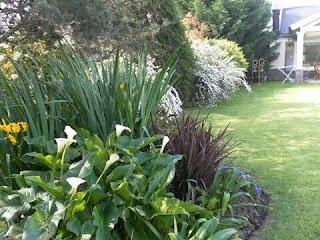 Diseño de jardines - Estrategias para la elección de especies