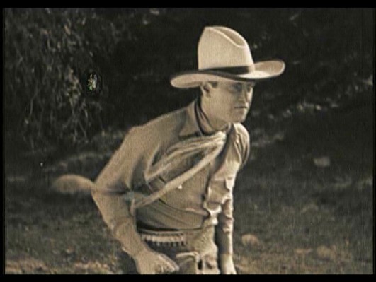 .: The Sign of the Wolf - Harry S. Webb/Forrest Sheldon -1931