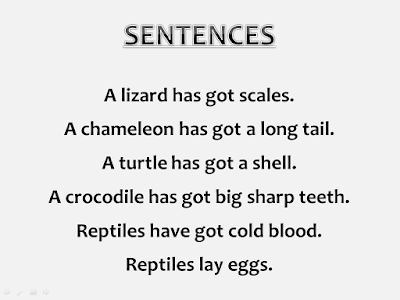 MAKING MIND MAPS TO DESCRIBE THE ANIMAL WORLD | ENGLISH LANGUAGE ...