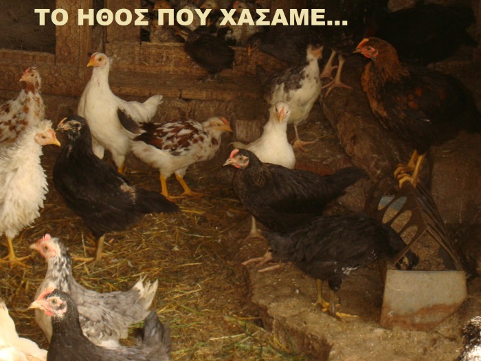 TΟ ΗΘΟΣ ΠΟΥ ΧΑΣΑΜΕ...: Καλημέρα και σήμερα...