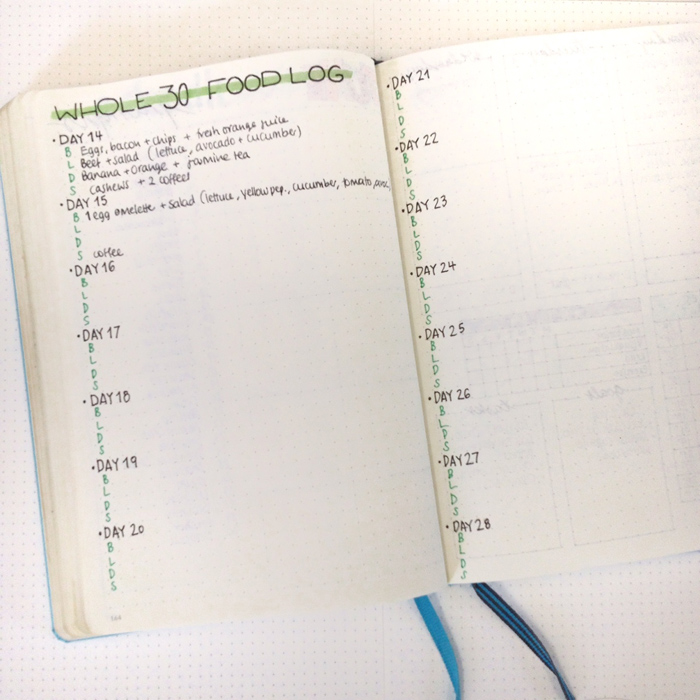 30 Day Diet Diary Log - connectposts