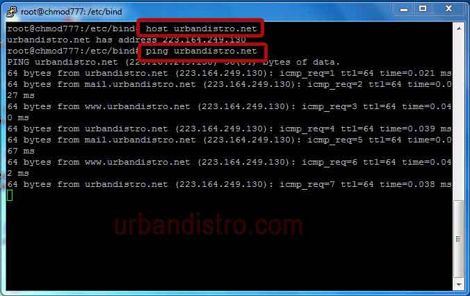 Jurusan Elektro Universitas Panca Marga: DNS Server