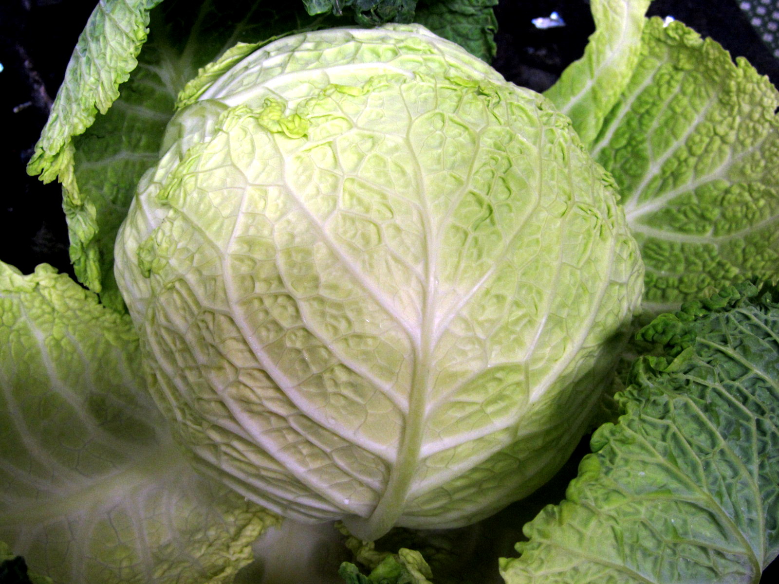 cocina con luz verde: Col rizada con contrastes