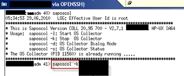 SAP Kernel: SAP Kernel upgrade in UNIX environment