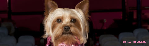 Aly & Ashley Daily: Sharpay Fabulous Adventures-Promotionals