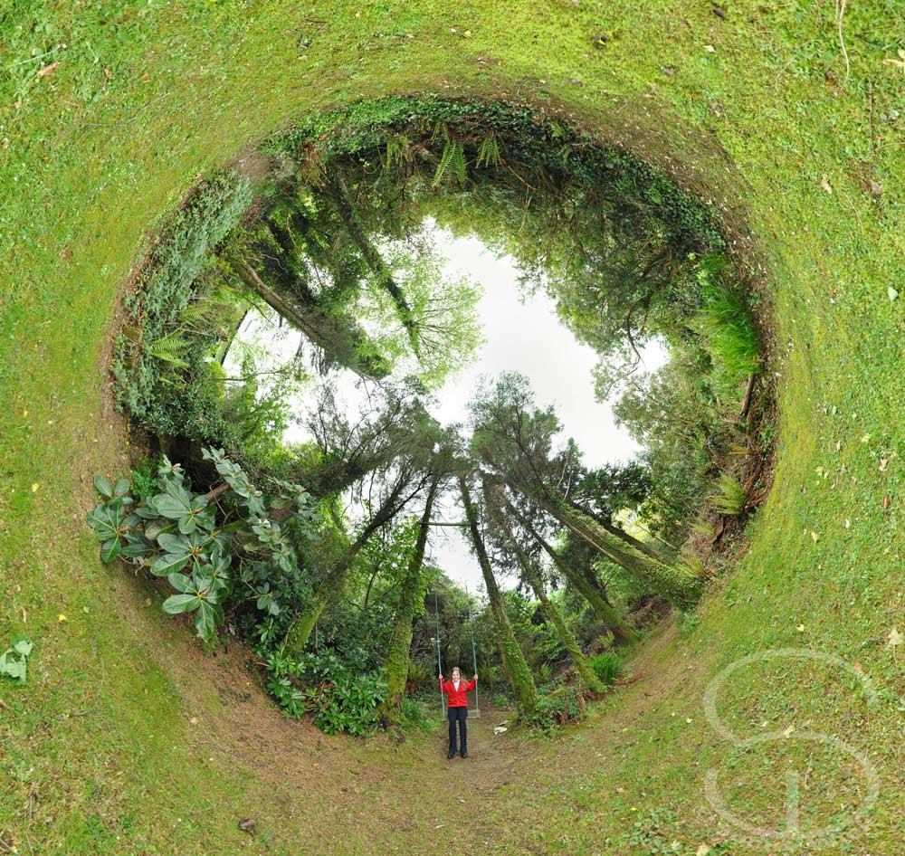 Hagal Farm's Blog: Photos from Hagal. The Big Swing