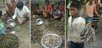 MUSAHAR ~ World's Universities