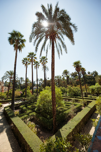 always in love - photoblog: Real Alcázar de Sevilla