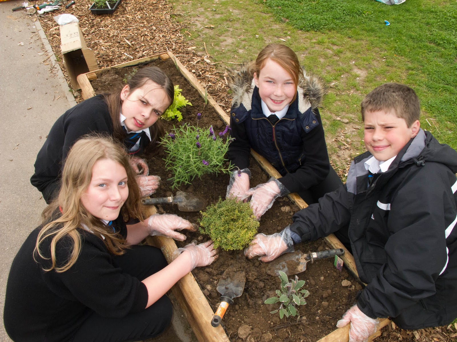 Eco-Schools at Cowbridge Comprehensive School : May 2013