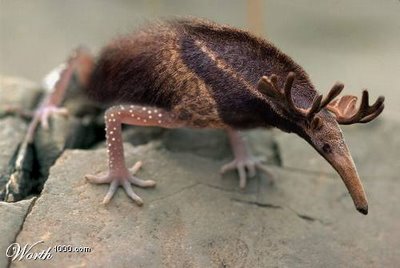 Inilah Foto 25 Hewan Unik Dan Aneh Di Dunia | Renungan Harian Cahaya Bangsa