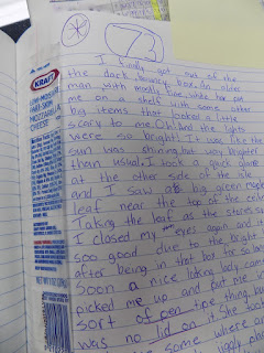 the Plain Professors: Journal Writing 101