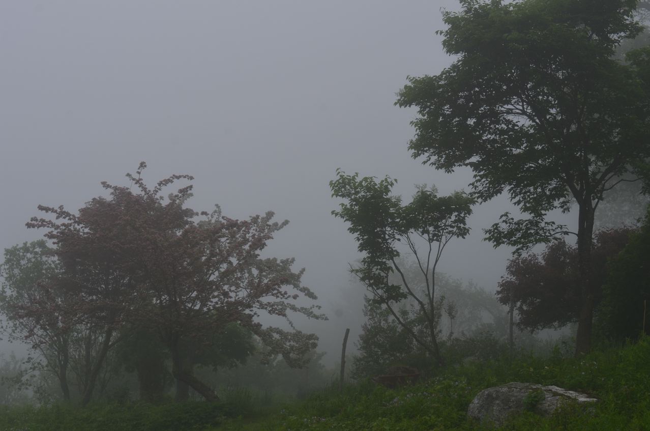 Flower Hill Farm: Drops Of Time Caught In The Mist Garden Facades