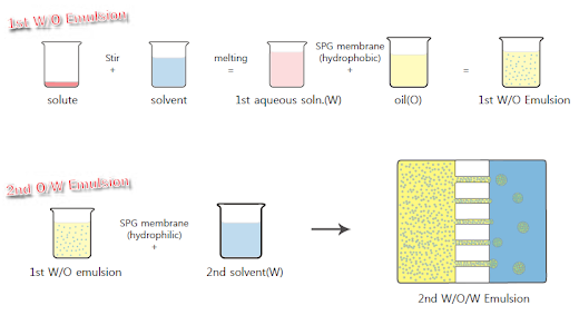 SPG MEMBRANE DEVICE: Manufacture of W/O/W Multiple Emulsion
