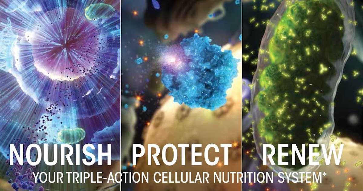 Gerbang Gebang Syahril : Introducing cutting edge nutrition science ...