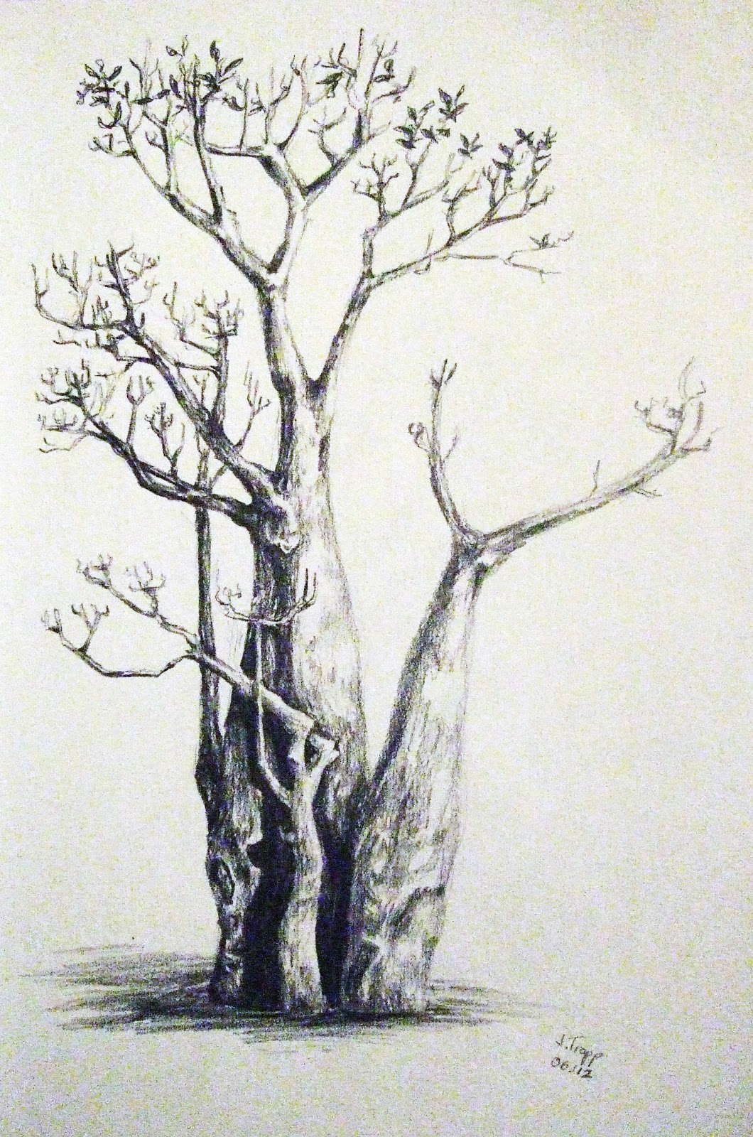 Janine Trapp: Drawings