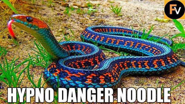 The Internet Tries Again To Name Animals (22 Pics)