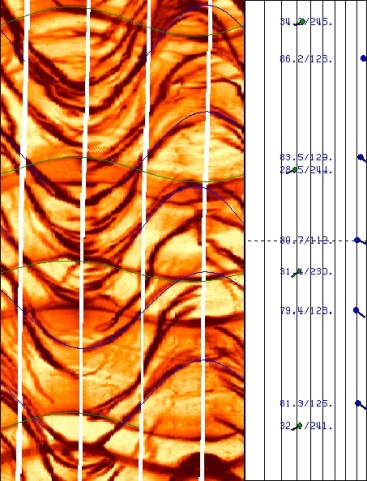 Latest Petrophysics: Formation Micro-Imager Logs (FMI)