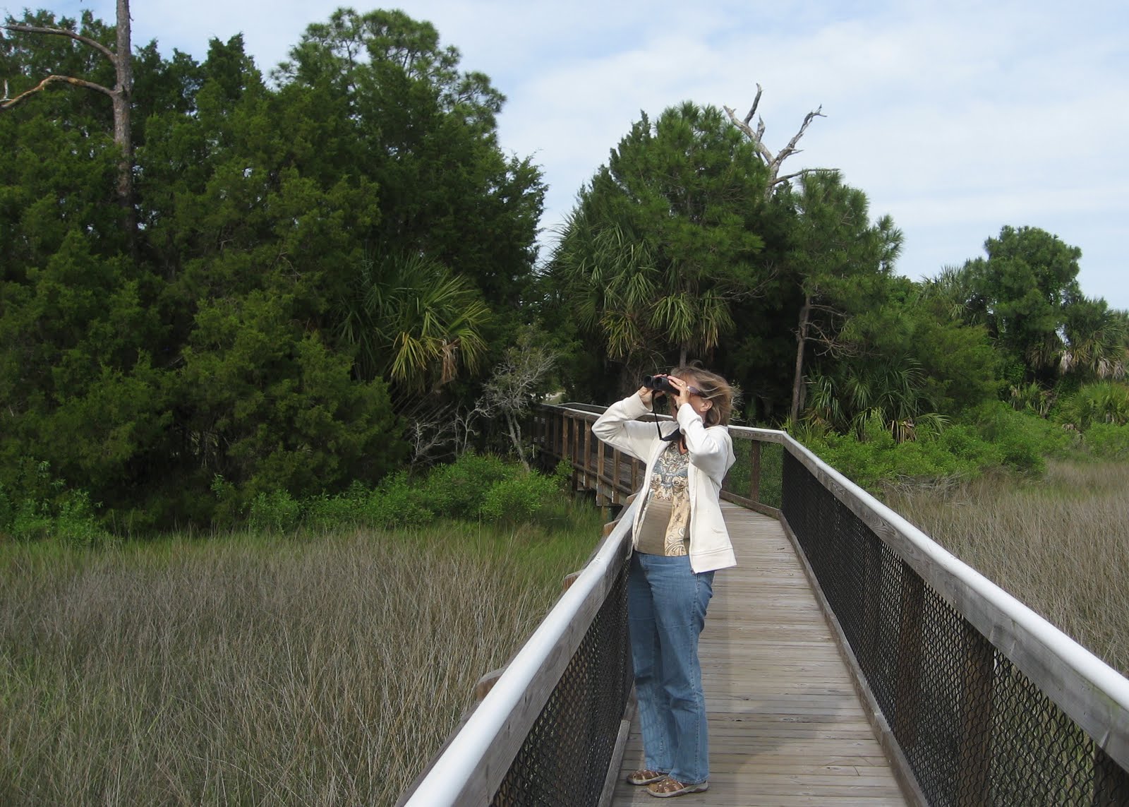 A Californian in Florida: April 4 – 5, 2011 A Low-Key Hideaway on Cedar ...