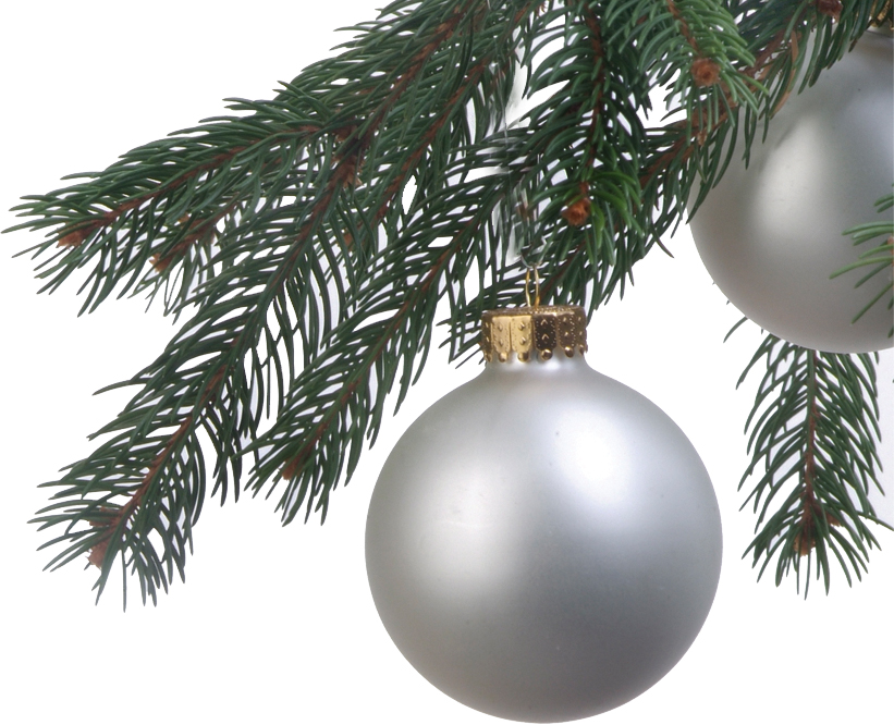 The Museum of Divine Statues