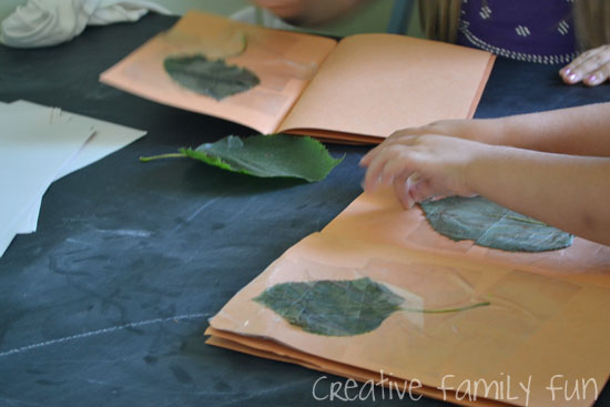 Explore Nature: Leaf Collections - Creative Family Fun