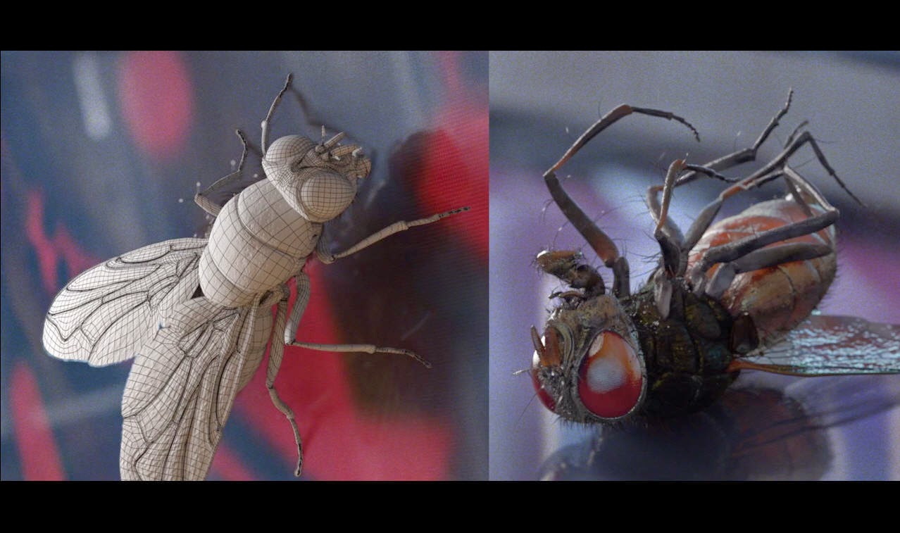 The Fly animation Breakdown | Computer Graphics Daily News