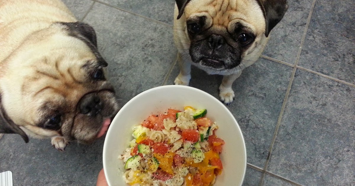 Grubbin' Pugs: Lighter Tuna Casserole with Vegetables