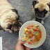Grubbin' Pugs: About Grubbin' Pugs