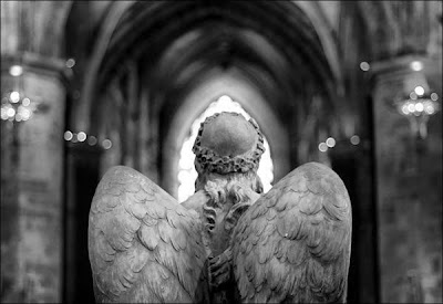 Ancile: EL ÁNGEL ESTIVAL