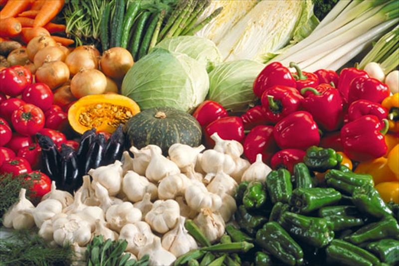 LA AGROPECUARIA: TIPOS DE CULTIVOS