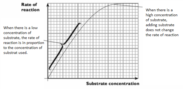 20 Factors Affecting The Rate Of Enzyme Catalysed Reactions Biology
