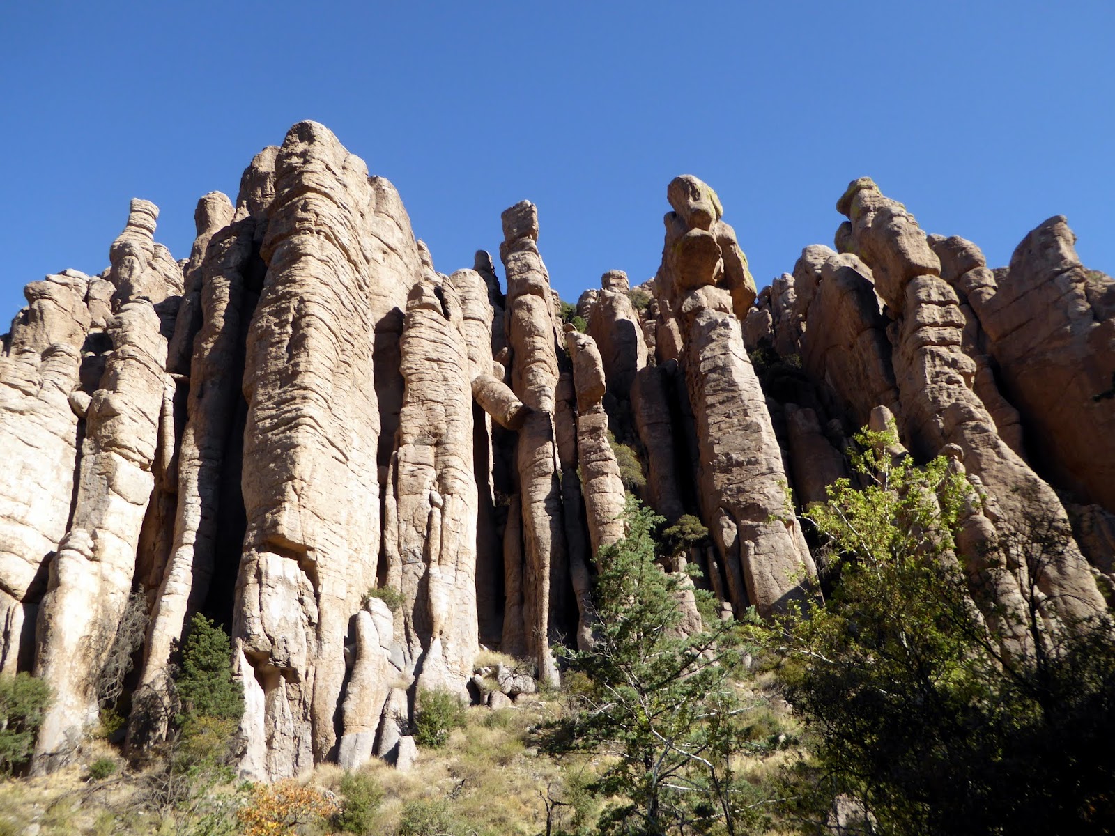 Trekking with the Bs: Chiricahua National Monument