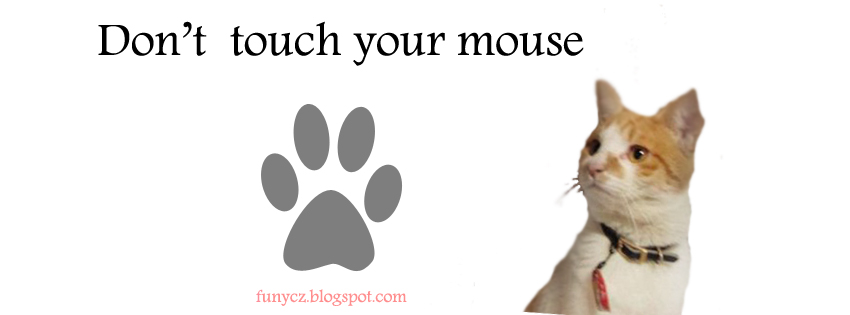 spice your facebook: funny fb covers collection 2