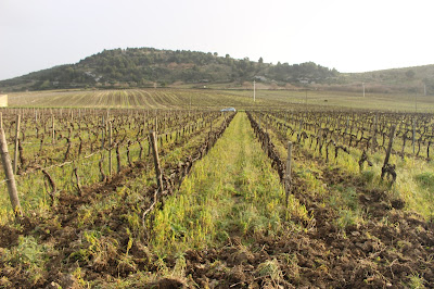 Reportage On Way: Lago Arancio, Sambuca di Sicilia (Ag)