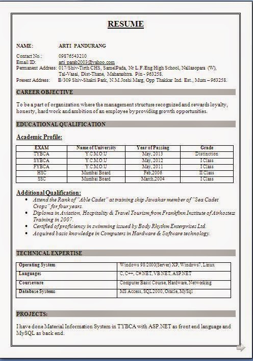 example of cv for students