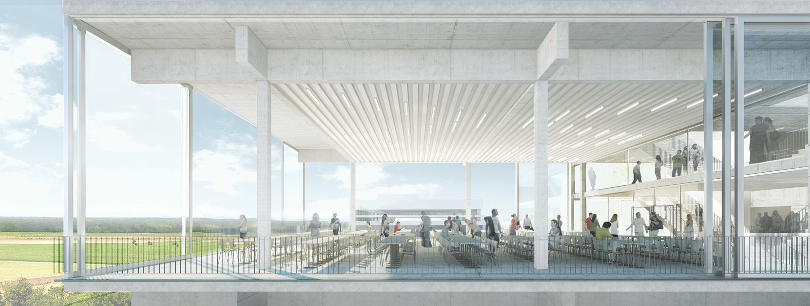 Muoto – a f a s i a