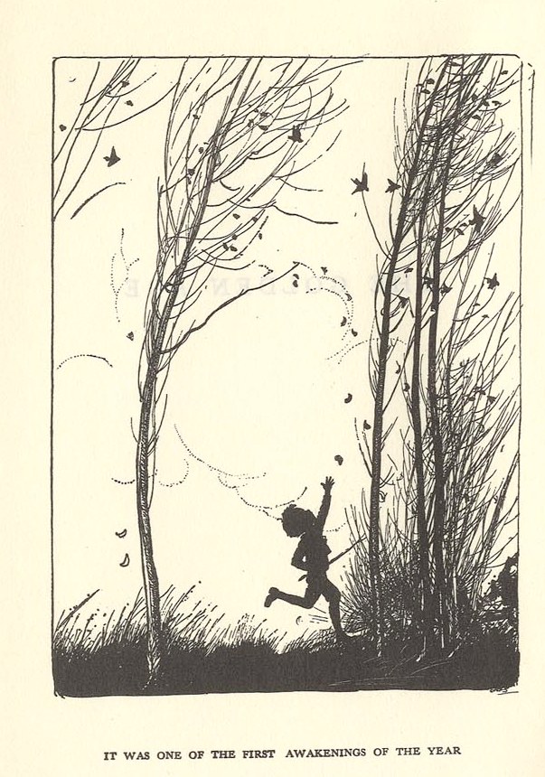Anemone: E. H. Shepard - Dream Days