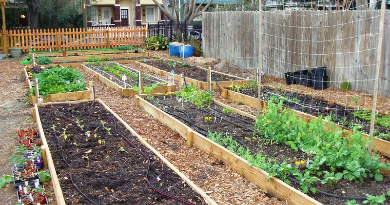 Community Gardens