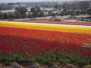 Busy as a Honey Bee: High Five 5.11.12