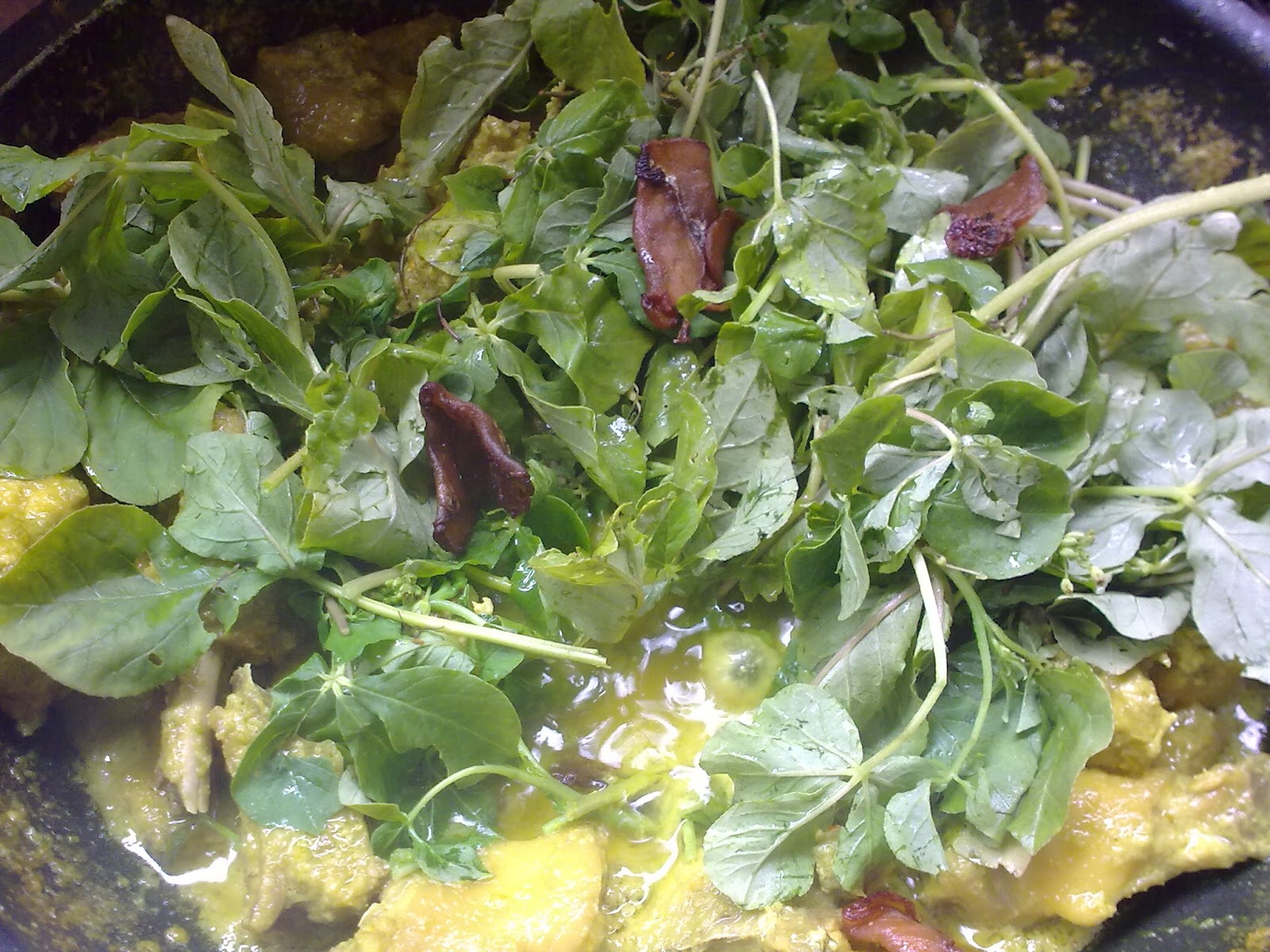 Ammie Beloved: Pokok Maman dan Rendang Ayam Pencen Maman.