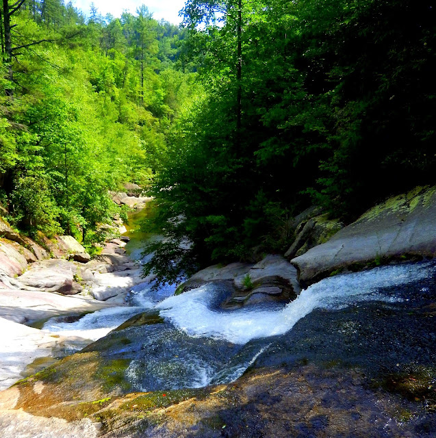 Hiking with a Fat Bald White Guy: Wilson Creek - Gragg Prong Falls