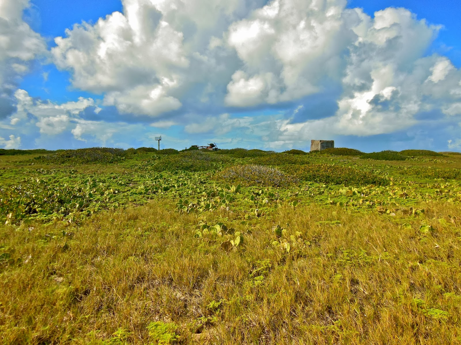 wyattsailing: Big Sand Cay, Turks and Caicos